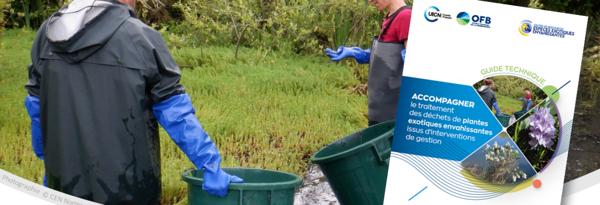 Publication d'un guide pour accompagner le traitement des déchets de ... Publication d'un guide pour accompagner le traitement des déchets de ...
